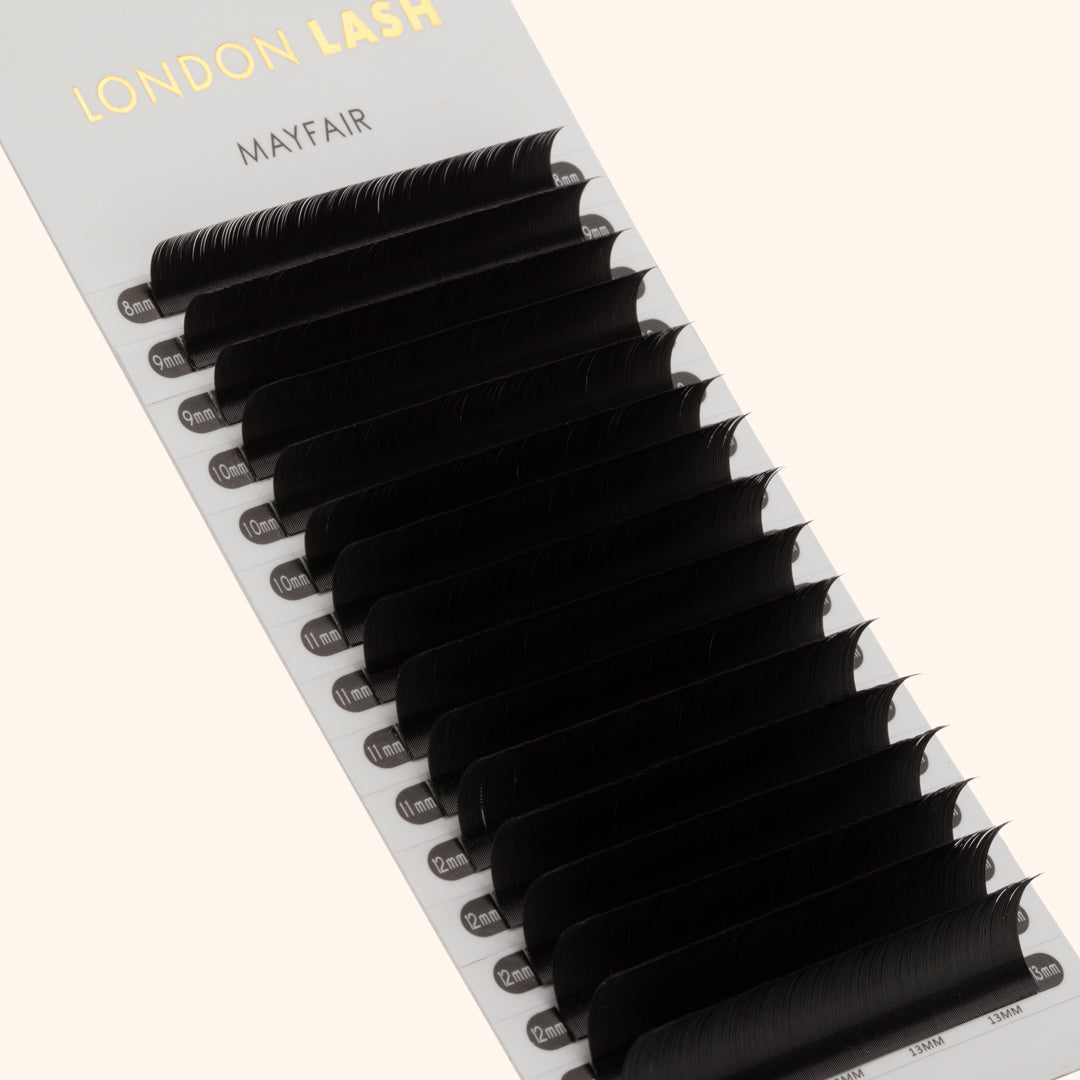 Lashes